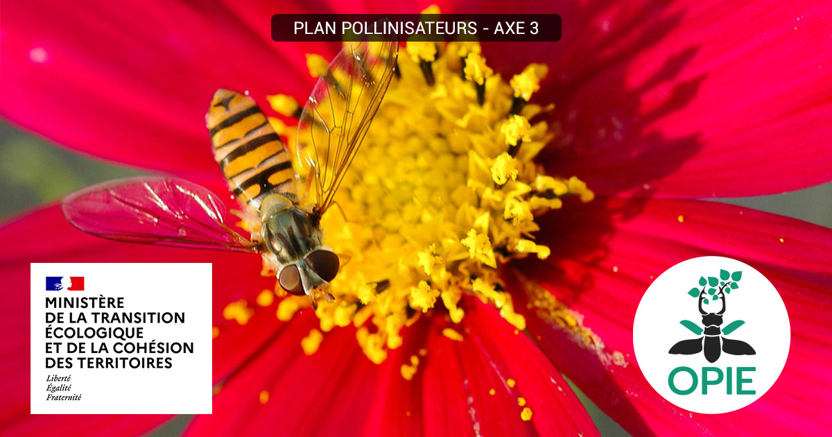 Partage de ressources pour l'axe 3 du Plan national en faveur des ...